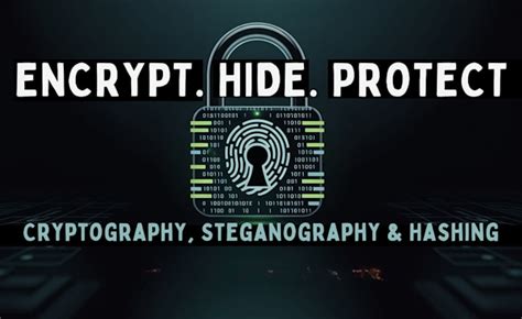 Encrypt And Protect Your Files With Cryptography And Steganography By Cyberteetech Fiverr
