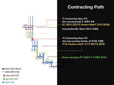 U Net 논문 리뷰 — U Net Convolutional Networks For Biomedical Image