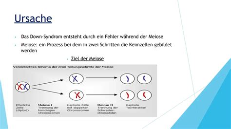 Was Ist Trisomie 21 Ursachen Symptome Und Wie Man Es Erkennt