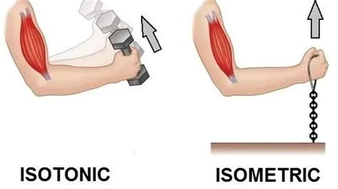 Sexercises Isometric And Isotonic The Isometrics Fashionable Exercise