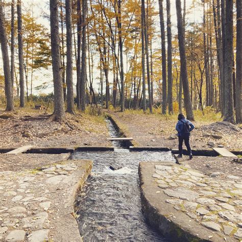 星降る中部高地の縄文世界 長野県富士見町、井戸尻遺跡の縄文人ムサイさんが中部高地の縄文スポット（富士見町・下諏訪町・川上村・北杜市）を旅するポスターが完成しました。ぜひ現地におもむいて縄文