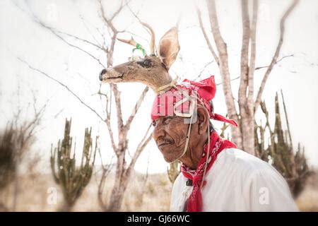 A Mayo Yoreme Dancer Performing The Traditional Danza Del Venado In The