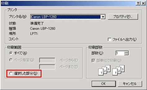 05 選択した部分 を有効にする