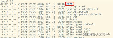 Nginx配置ssl Nginx Ssl Cipher Csdn博客