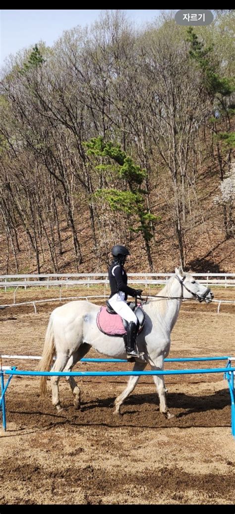말은 거창하지만 실행은 늘 미뤄지는 이유 많은 사람들이 문제를 해결하고 싶다고 말합니다 하지만 실제로 행동으로 옮기는 사람은 극히 드뭅니다 왜일까요 인간의 뇌는