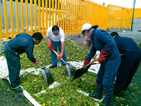 Mbio Solar Impulse Efficient Solution