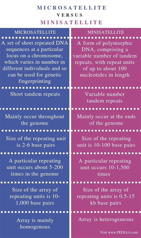 What Is The Difference Between Microsatellite And Minisatellite Pediaa Com