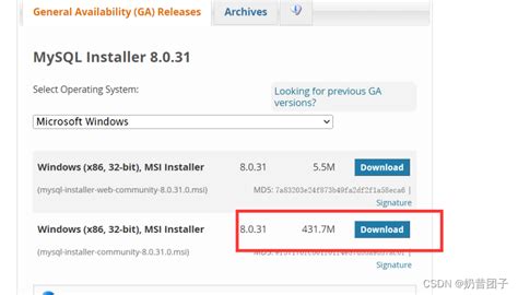 【mysql基础1】安装与启动mysql安装和启动 Csdn博客