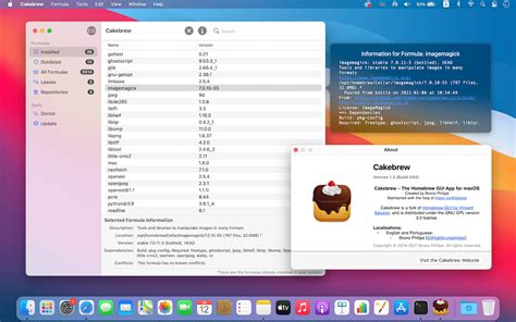 Install Brew Macos Big Sur Optionjes
