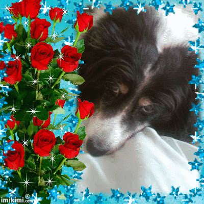 E H O Sjena Du E Blog Hr