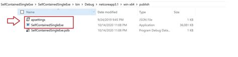 How To Create A Single Exe File With Apsettingsjson Thecodebuzz
