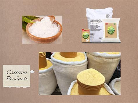 The Economic Importance Of Cassava Processingblog