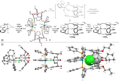 Template Synthesis Of An Intermediate In Silver Salt Metathesis Using A Calix[4]arene Based