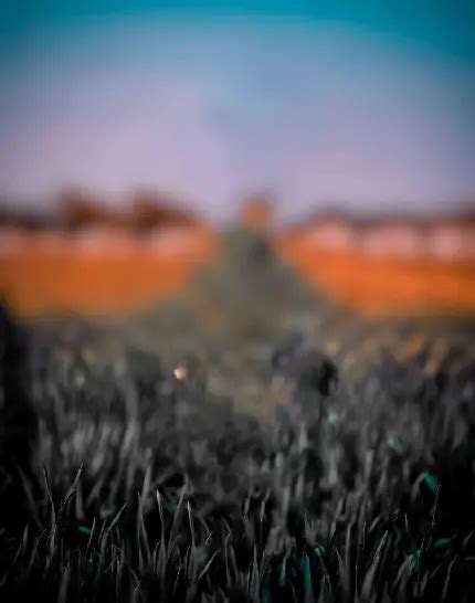 عکس های فتوشاپ شده با بهترین برنامه های ویرایش عکس