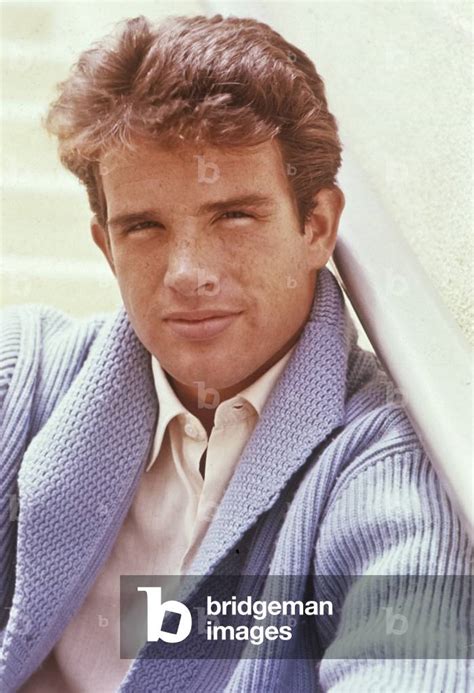 Warren Beatty Face Young