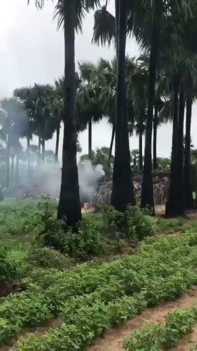 😍အညာရဲ့မနက်ခင်းအလှလေး💚မဂ်လာနံနက်ခင်းလေးမှာ💙တနေ့တာဘဝအအမောတွေ ကင်းပါစေဗျာ Youtube