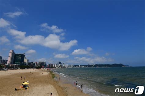 맑고 푸른 하늘 네이트 뉴스