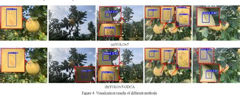 Figure 1 From Yolov7 Odca Object Detection Of Pomelo Epidermis Defects Based On Improved Yolov7