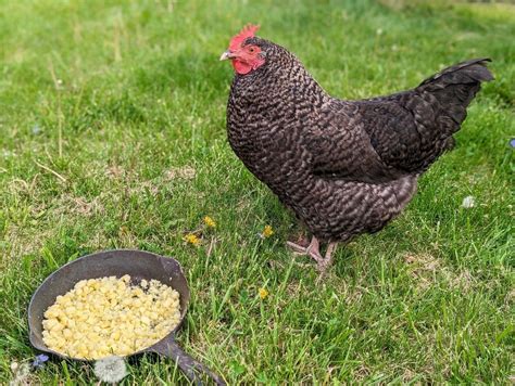 Cassie L On Linkedin Coding Coding