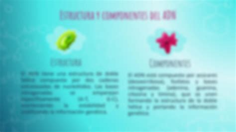 Solution Bases Puricas Y Pirimidinicas Studypool