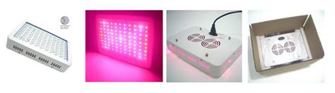 Double Chips 800w Led Grow Light Full Spectrum 600 1000 1200W Ideal For Flowering And Growing