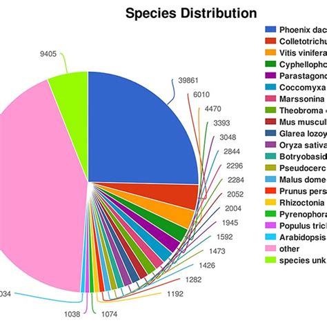 Species Distribution Showing Homogenous Sequences Between D Download Scientific Diagram