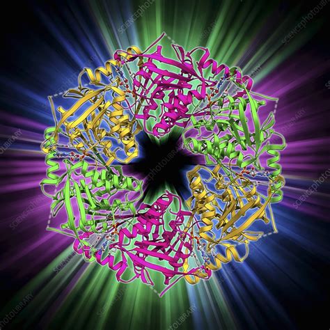 Bacteriophage Atpase Molecule Stock Image F0096272 Science Photo Library