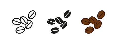 커피 콩 아이콘입니다 구운 유기 벡터 그림입니다 향기로운 카페인 기호 에스프레소 성분 표시 미식가 음료 컨셉 신선한 에너지