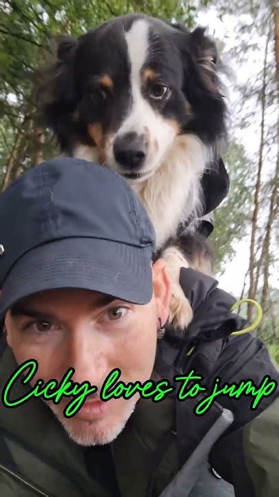 Cicky Loves To Jump Youtube