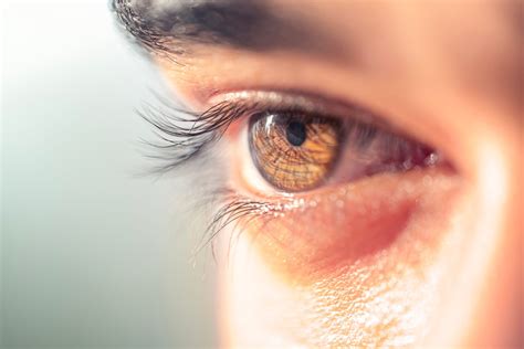 10 Stunning Close Up Shot Examples For Impactful Storytelling