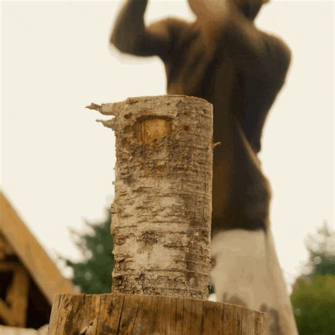 Tree Beard GIFs Get The Best GIF On GIPHY