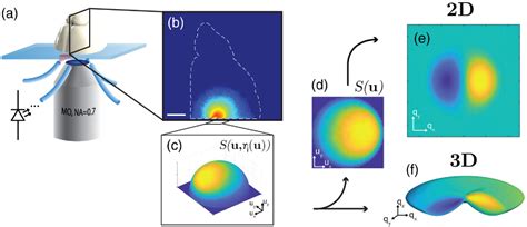 Figure 1 From Quantitative 3d Refractive Index Tomography Of Opaque Samples In Epi Mode