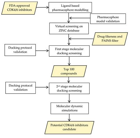 Schematic Summarizing The Overall Workflow Described In This Work