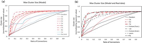 Network Cluster Size A Model The Maximum Cluster Size Of The