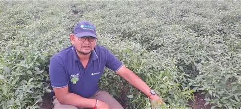 Lokesh Reddy Sama On Linkedin Sakata Hotpepper