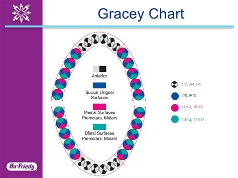 Gracey Curettes Chart At Daniel Mcbryde Blog