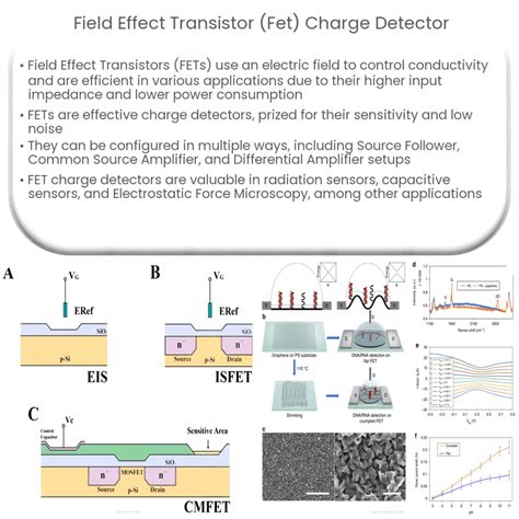 Field Effect Transistor At Erica Keeney Blog
