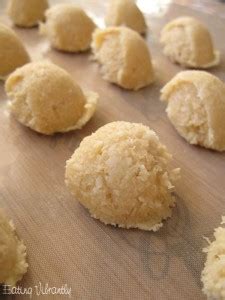Raw Coconut Macaroons Recipe Eating Vibrantly