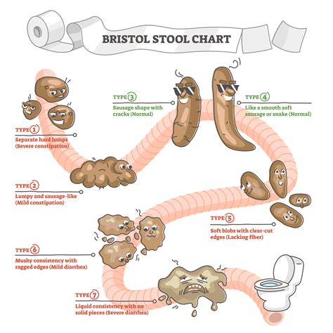 A Journey Through The Gut The ‘ins And Outs Of Constipation The New