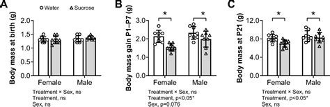 Sex Specific Effects Of Neonatal Oral Sucrose Treatment On Growth And