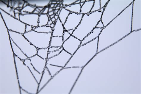 Github Mihirh19neuralnetworkfromscratchonlynumpy
