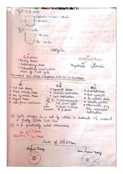 Solution Ch 10 Cell Cycle And Cell Division Class 11 Th Biology Ncert