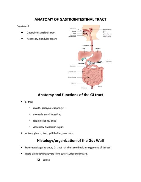 Gastrointestinal Physiology The Guyton And Hall Physiology Docx