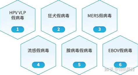 中和抗体类假病毒产品 知乎