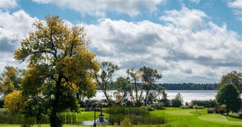 22 Most Common Trees In Minnesota ProGardenTips