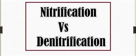 Difference Between Nitrification And Denitrification With Comparison Chart Bio Differences