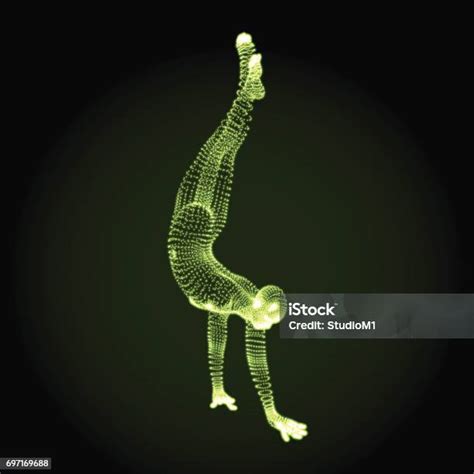 체조 선수 이다입니다 남자 인체 모델의 3 차원 모델입니다 벡터 일러스트입니다 추상적인에 대한 스톡 벡터 아트 및 기타 이미지 추상적인 춤 Championship