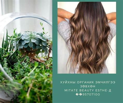 🌿Хуйхны органик эмчилгээг хэн Gerelt Beauty And Slimming