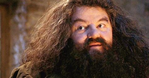 Falleció Robbie Coltrane El Actor De Hagrid En “harry Potter” ¿dónde Ver La Saga Completa
