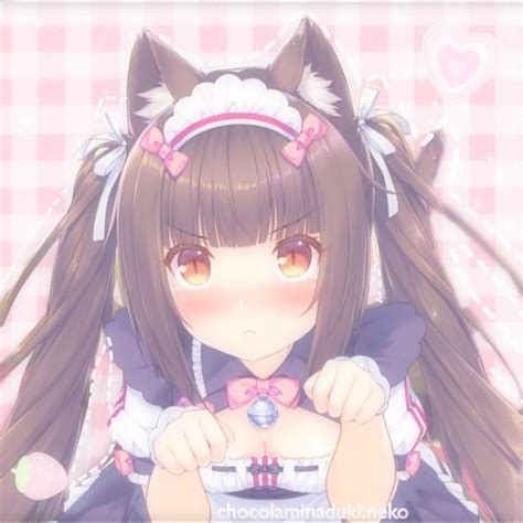 Nekopara Chocola Icon Рисунки Зеленые фоны Картинки